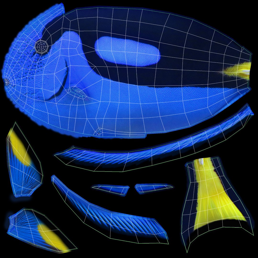Blue Tang Animation 3D - TurboSquid 1503702