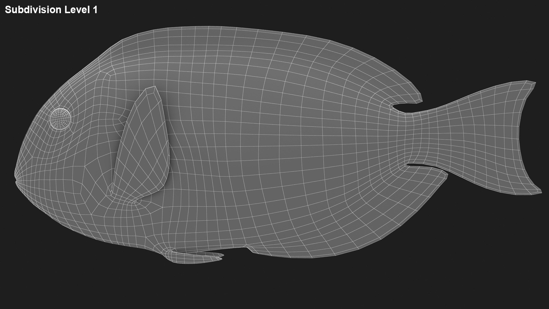 Blue Tang Animation 3D - TurboSquid 1503702