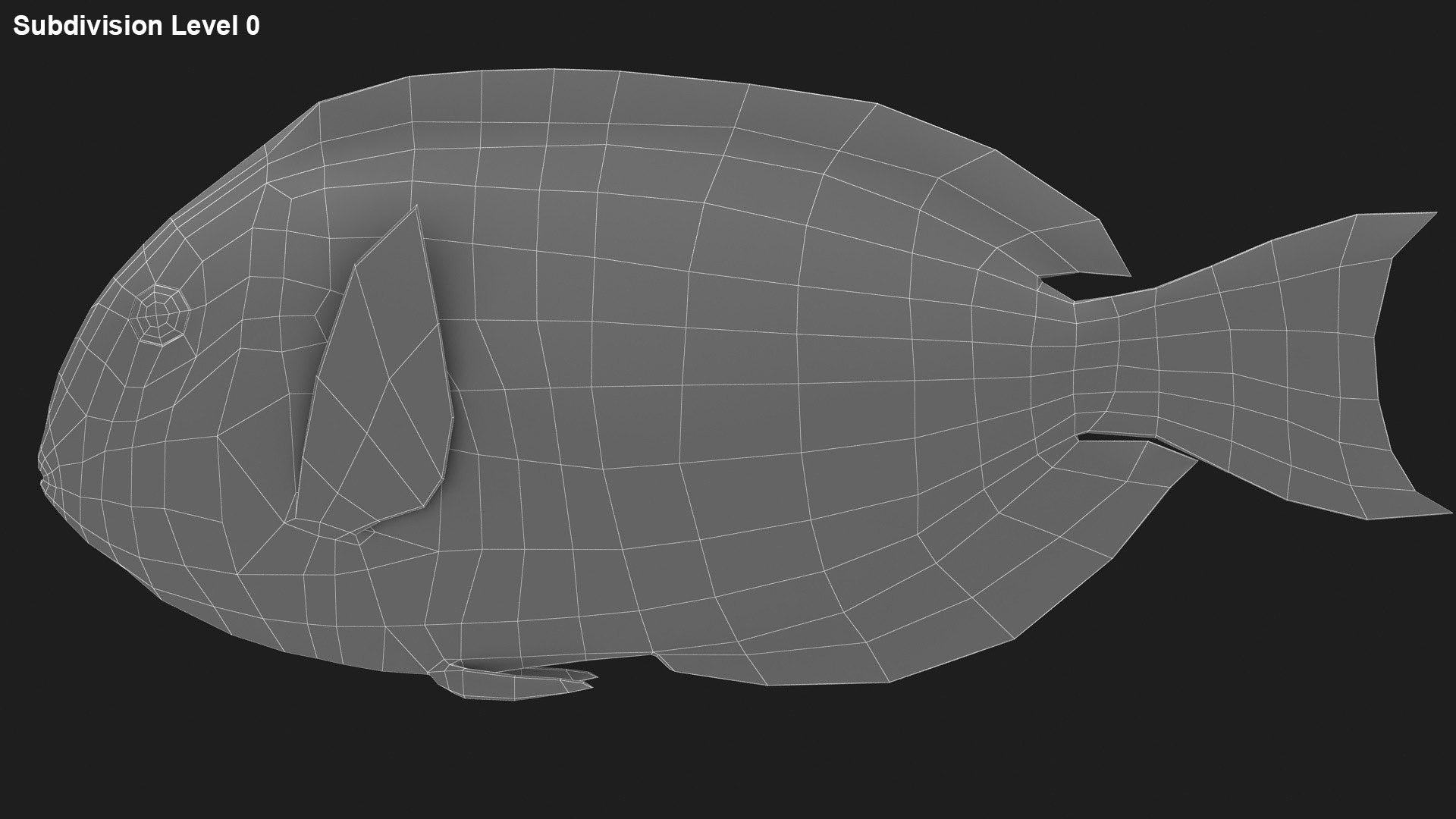 Blue Tang Animation 3D - TurboSquid 1503702