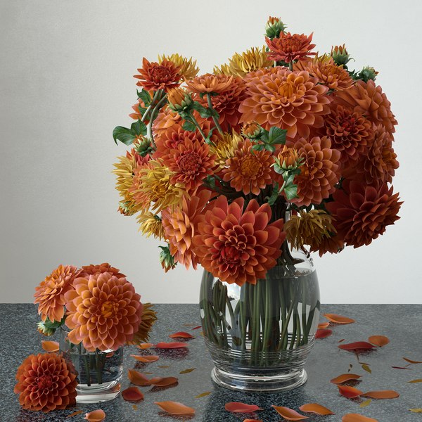 max interior flower plant