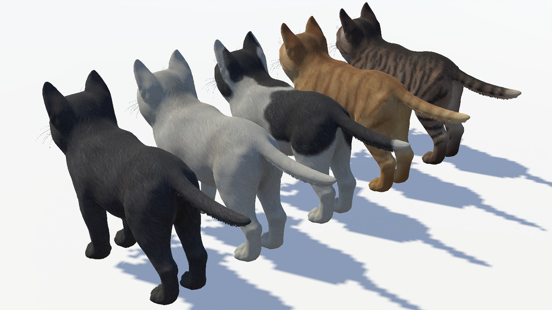3D Kitten - Simple - TurboSquid 2095310