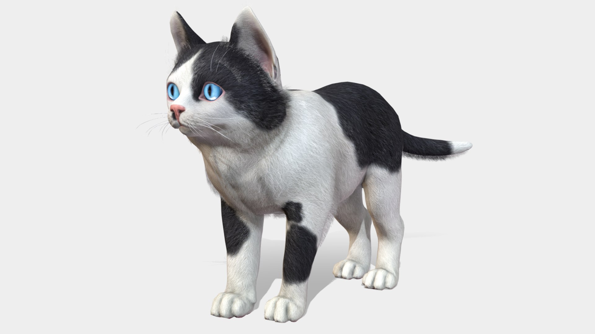 3D Kitten - Simple - TurboSquid 2095310