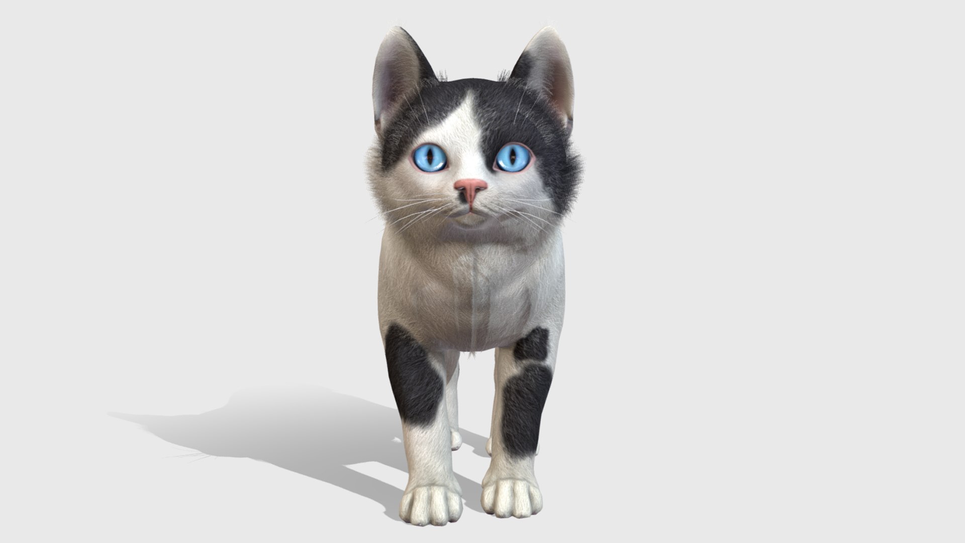 3D Kitten - Simple - TurboSquid 2095310