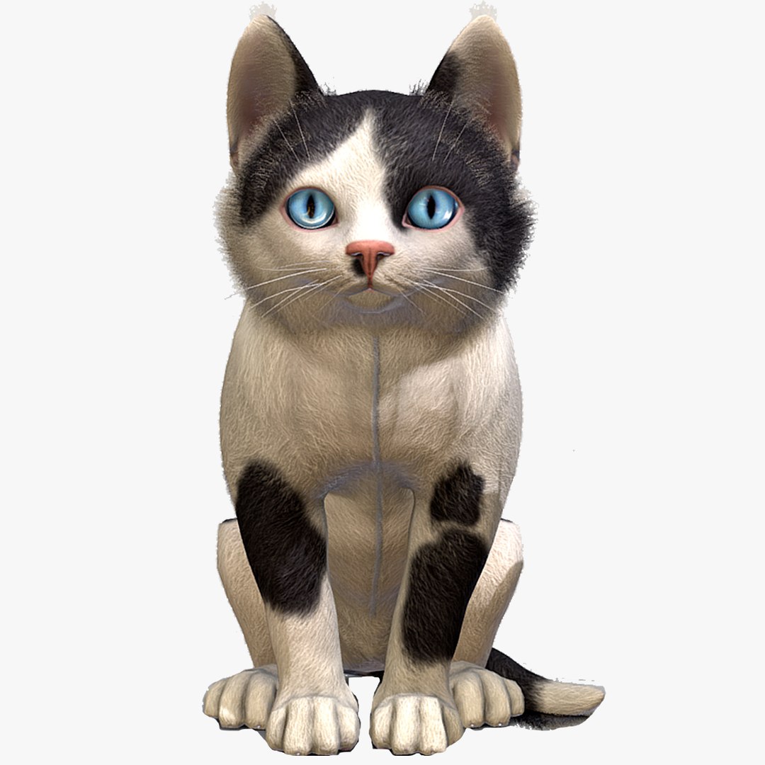3D Kitten - Simple - TurboSquid 2095310