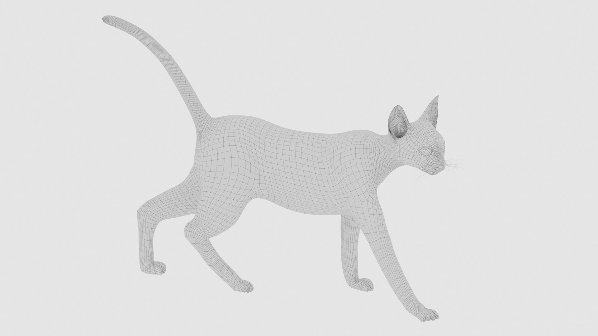 3D Model Brown Cat - TurboSquid 2079589
