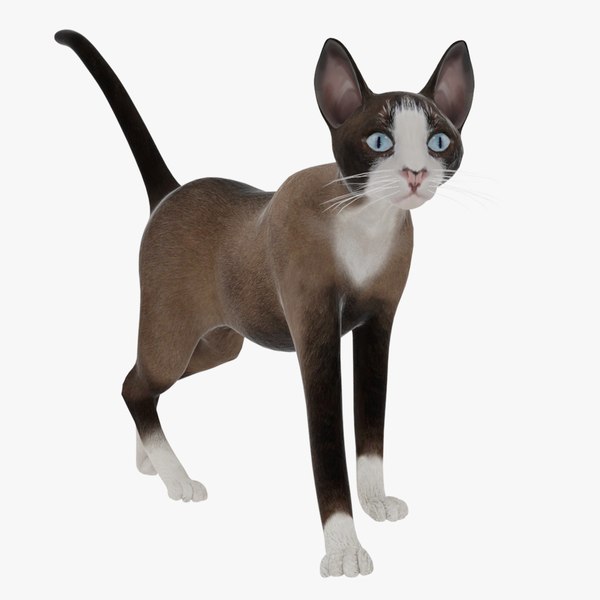 modelo 3d Brown Cat - TurboSquid 2079589