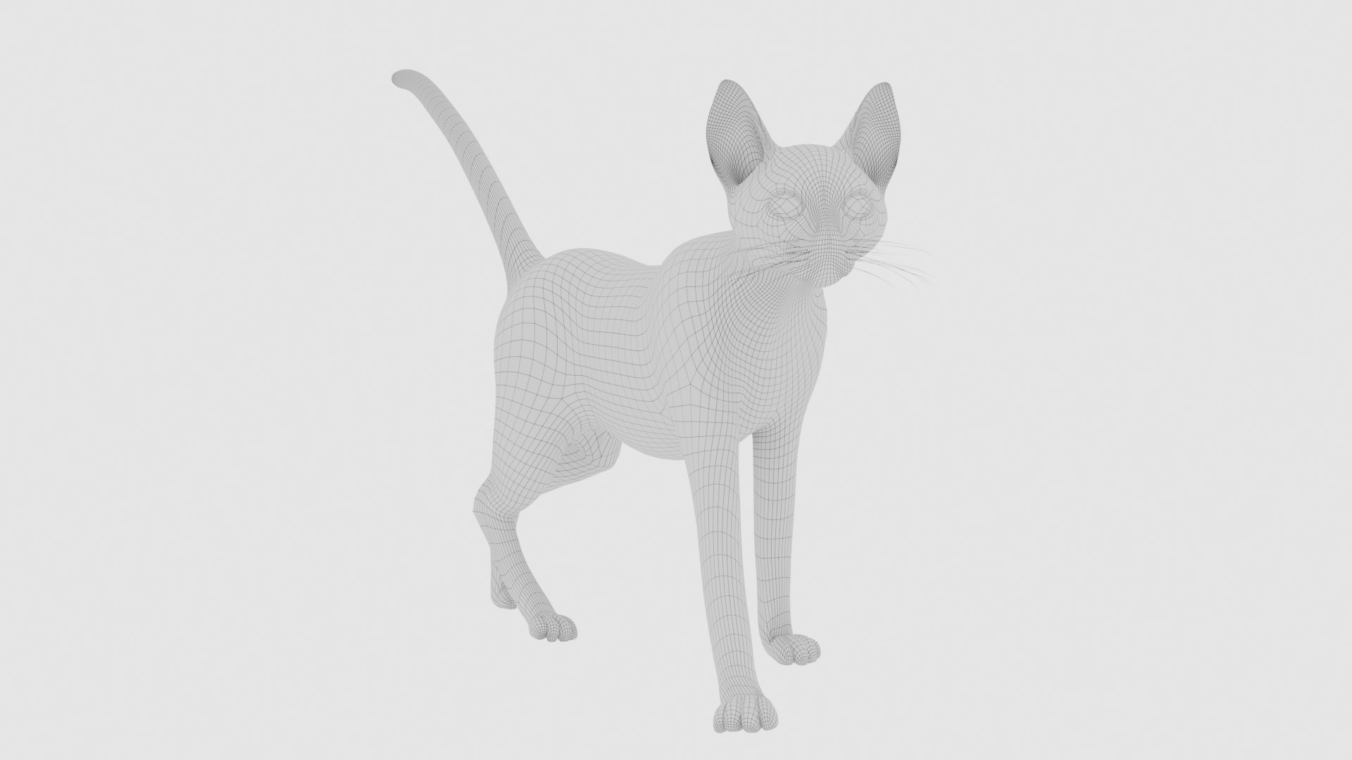 3D Model Brown Cat - TurboSquid 2079589