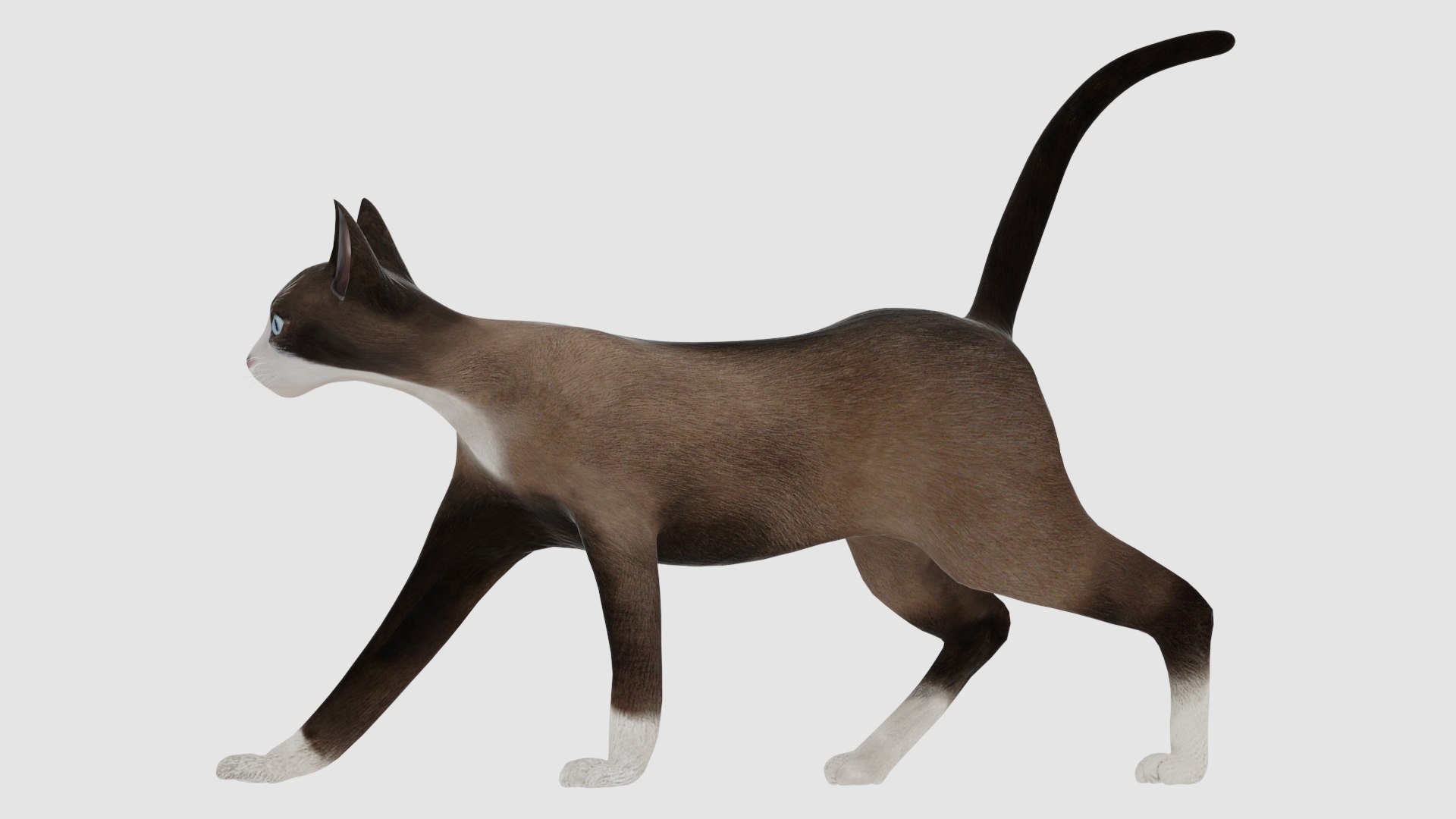 3D Model Brown Cat - TurboSquid 2079589