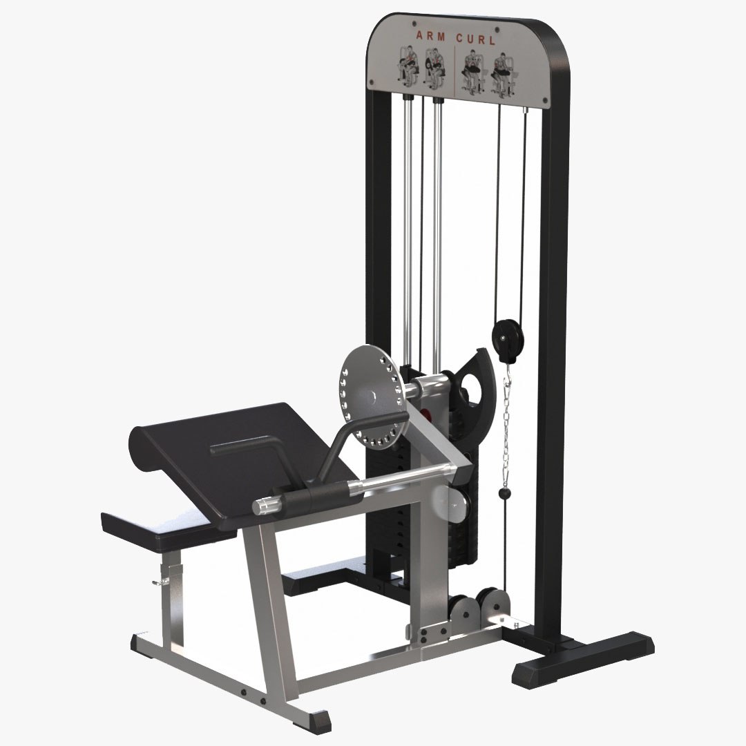 GYM Arm Biceps and Triceps Curl Machine 3D model - TurboSquid 1924361