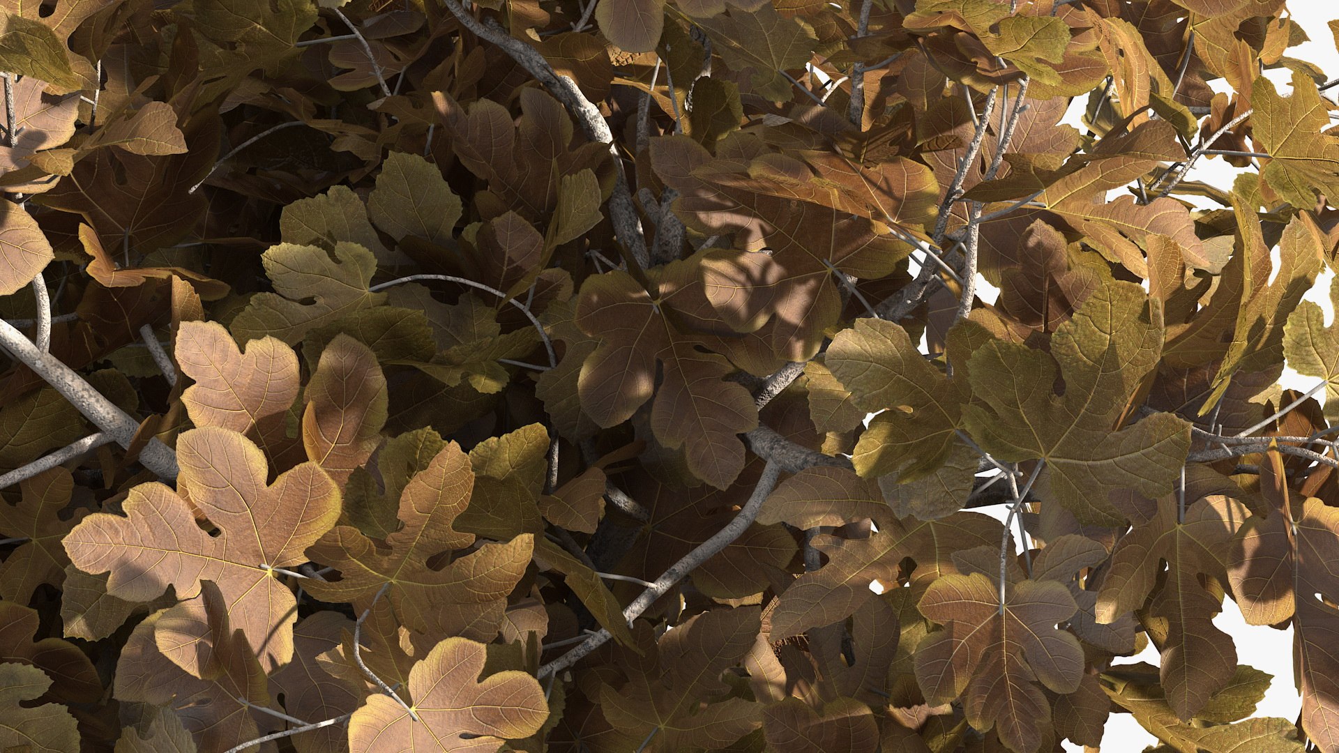 Autumn fig tree trunks 3D model - TurboSquid 1681346