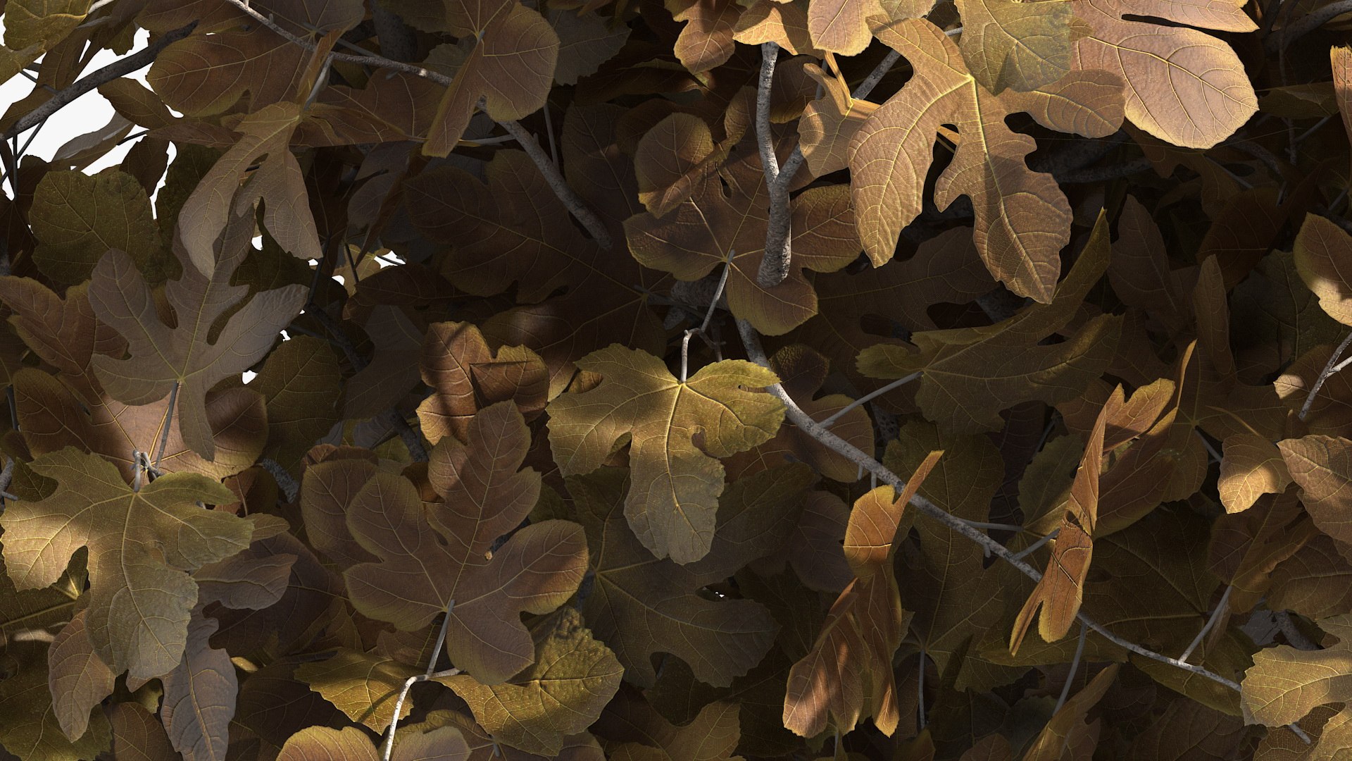 Autumn Fig Tree Trunks 3D Model - TurboSquid 1681346