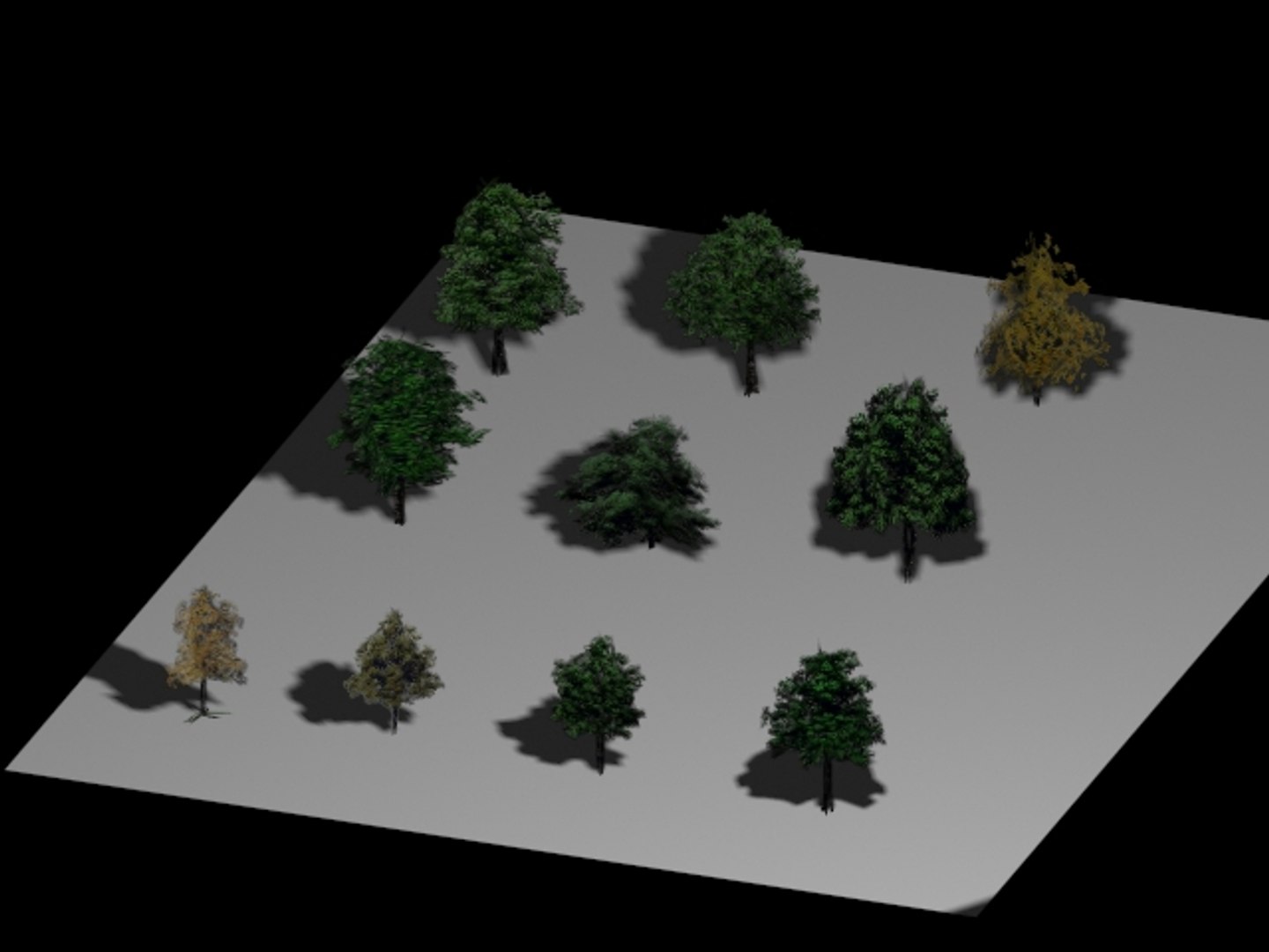 Tree Polys - Plants 3d Model