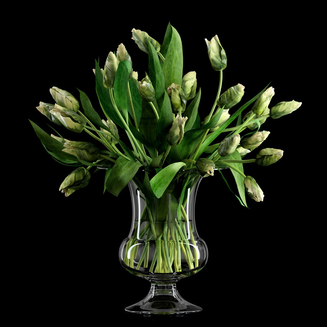 3d Realistic Green Parrot Tulips