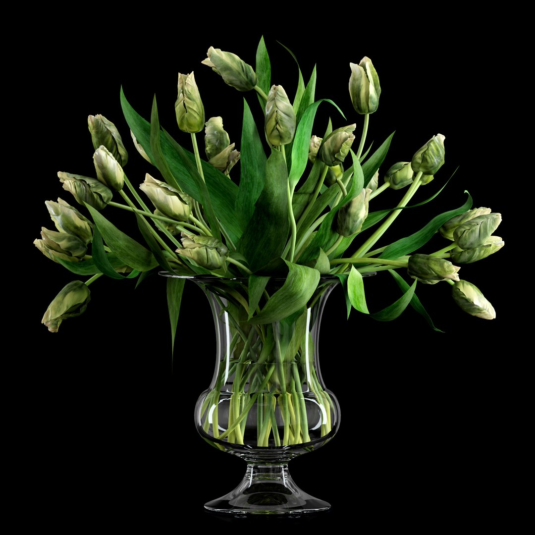 3d Realistic Green Parrot Tulips