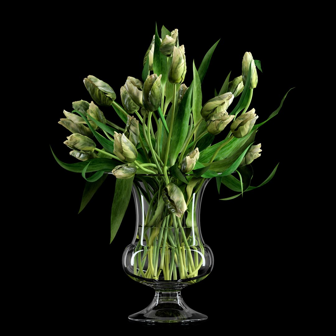 3d Realistic Green Parrot Tulips