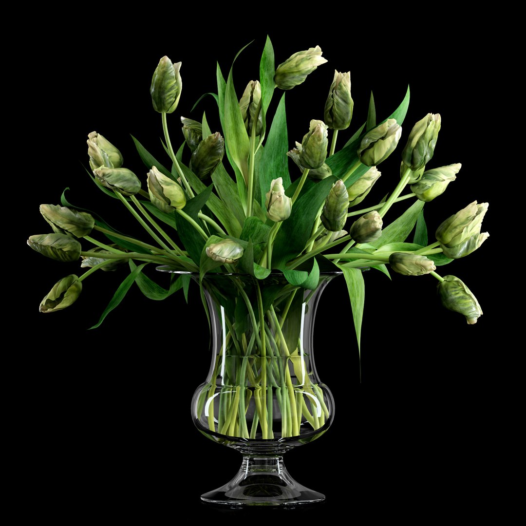 3d Realistic Green Parrot Tulips