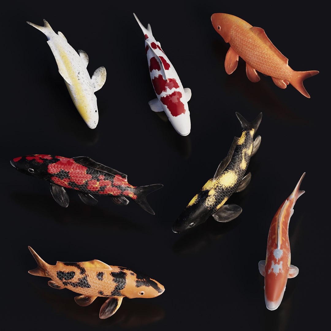 3D Model Koi Fish For Ponds And Lakes Med-Poly - TurboSquid 2133199