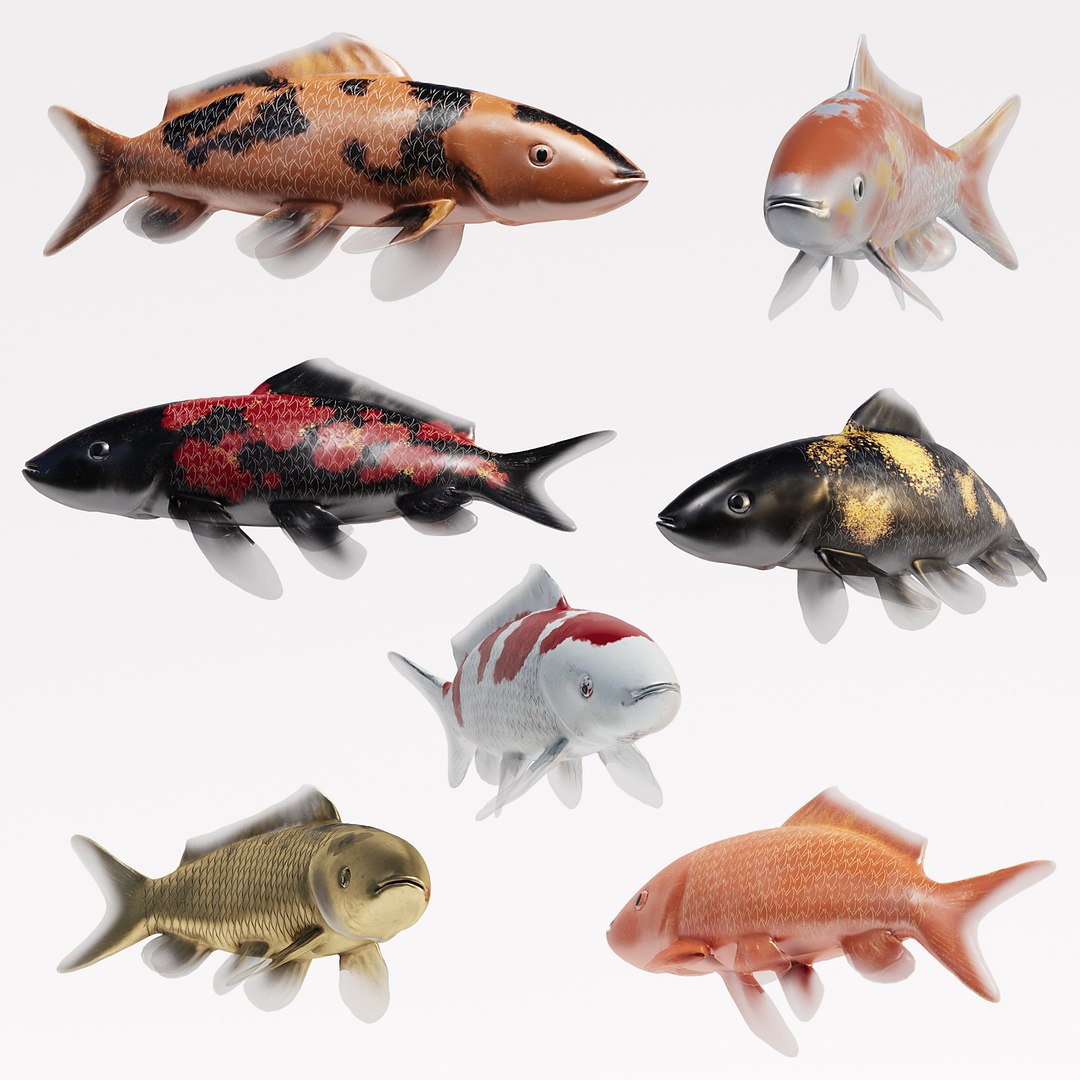 3D Model Koi Fish For Ponds And Lakes Med-Poly - TurboSquid 2133199