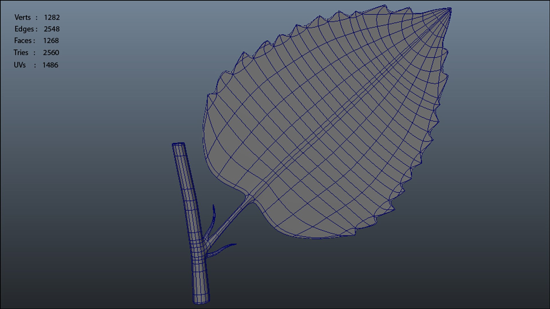 Plant Leaf 3d Model