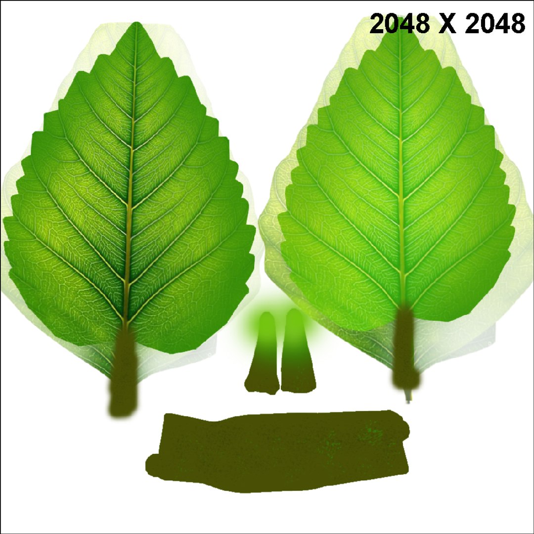 Plant Leaf 3d Model