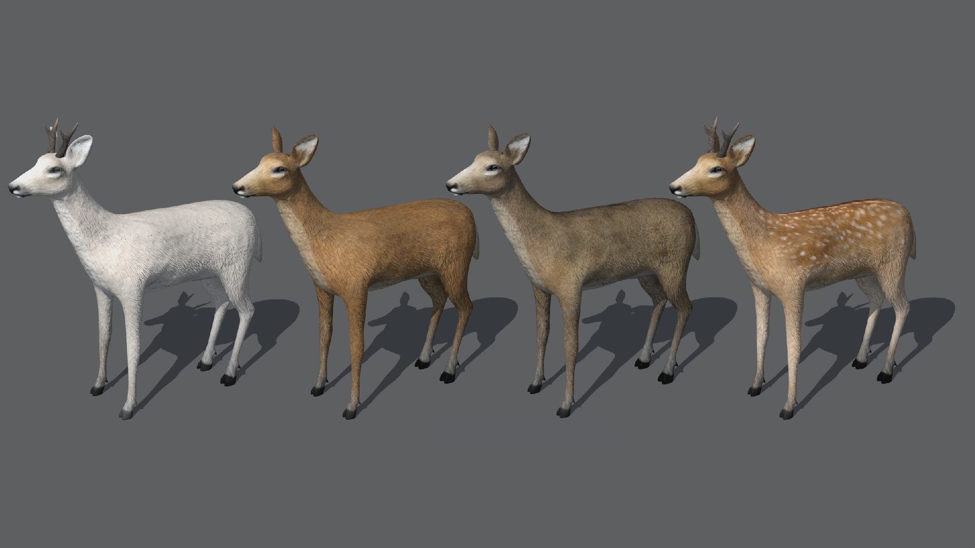 Deer Modular Pack 3d Model