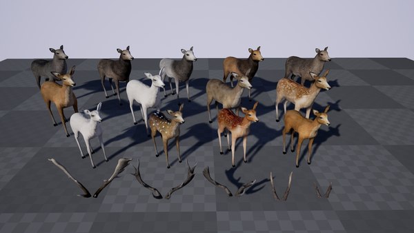 3d doe deer fur model