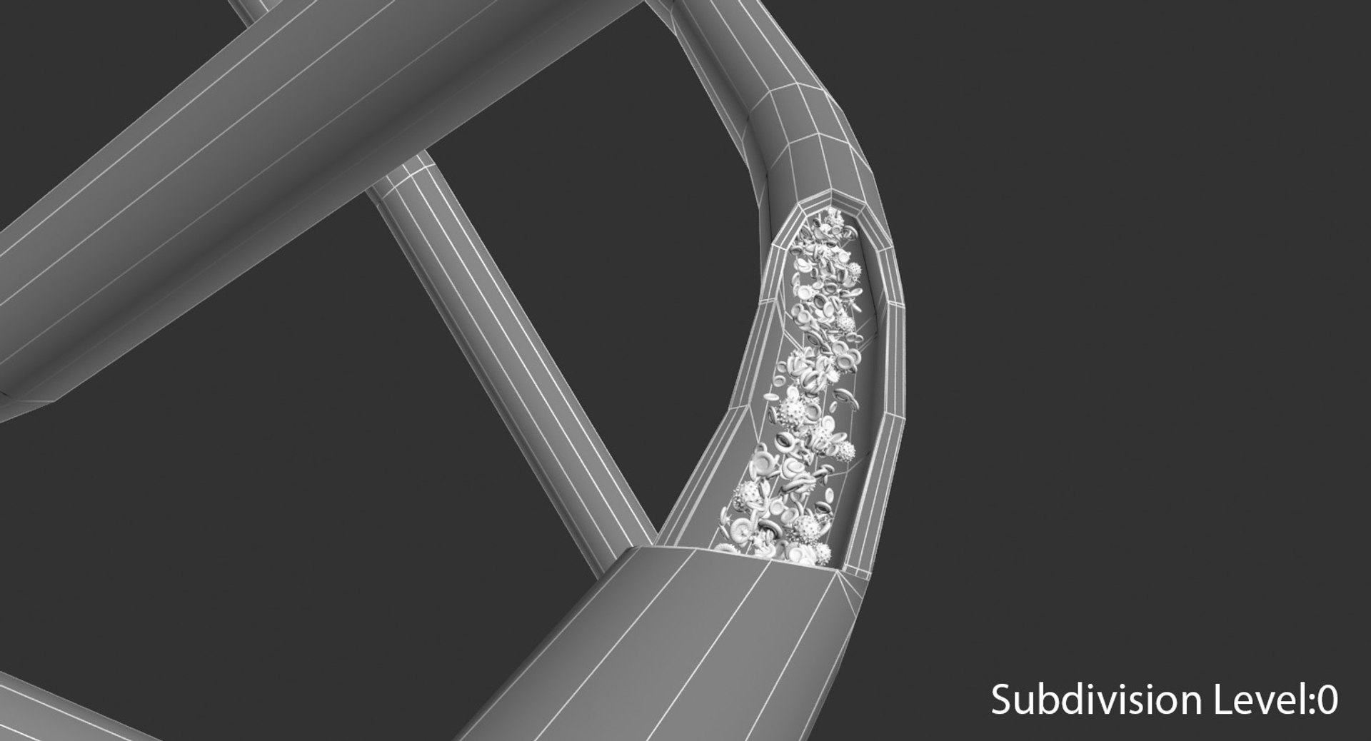 Bloodstream animation model - TurboSquid 1328009