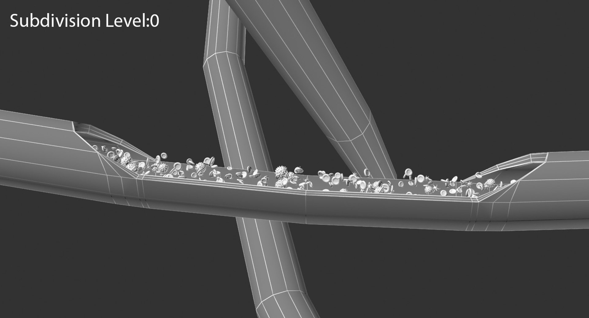 Bloodstream animation model - TurboSquid 1328009