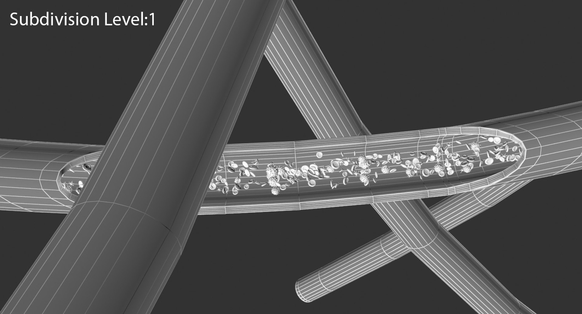 Bloodstream animation model - TurboSquid 1328009