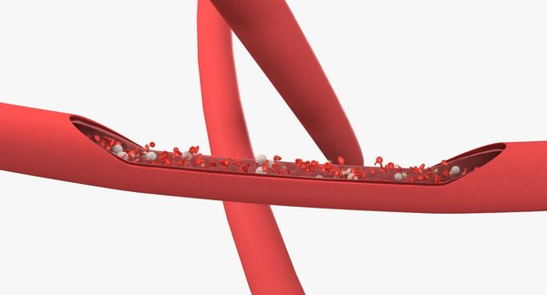 Bloodstream animation model - TurboSquid 1328009