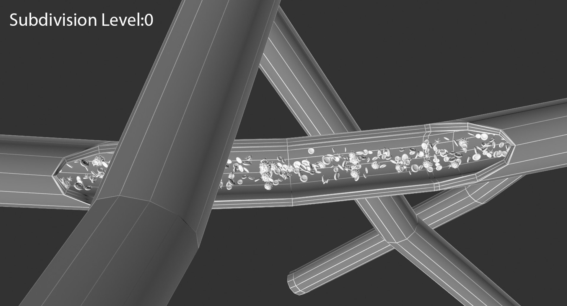 Bloodstream animation model - TurboSquid 1328009