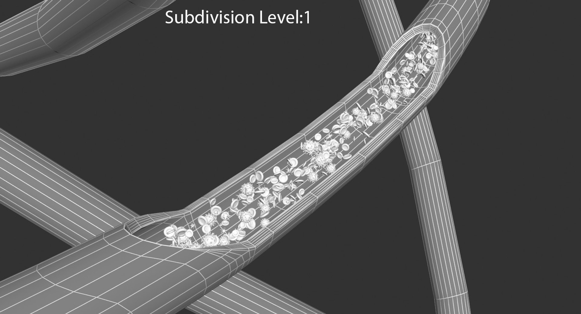 Bloodstream animation model - TurboSquid 1328009
