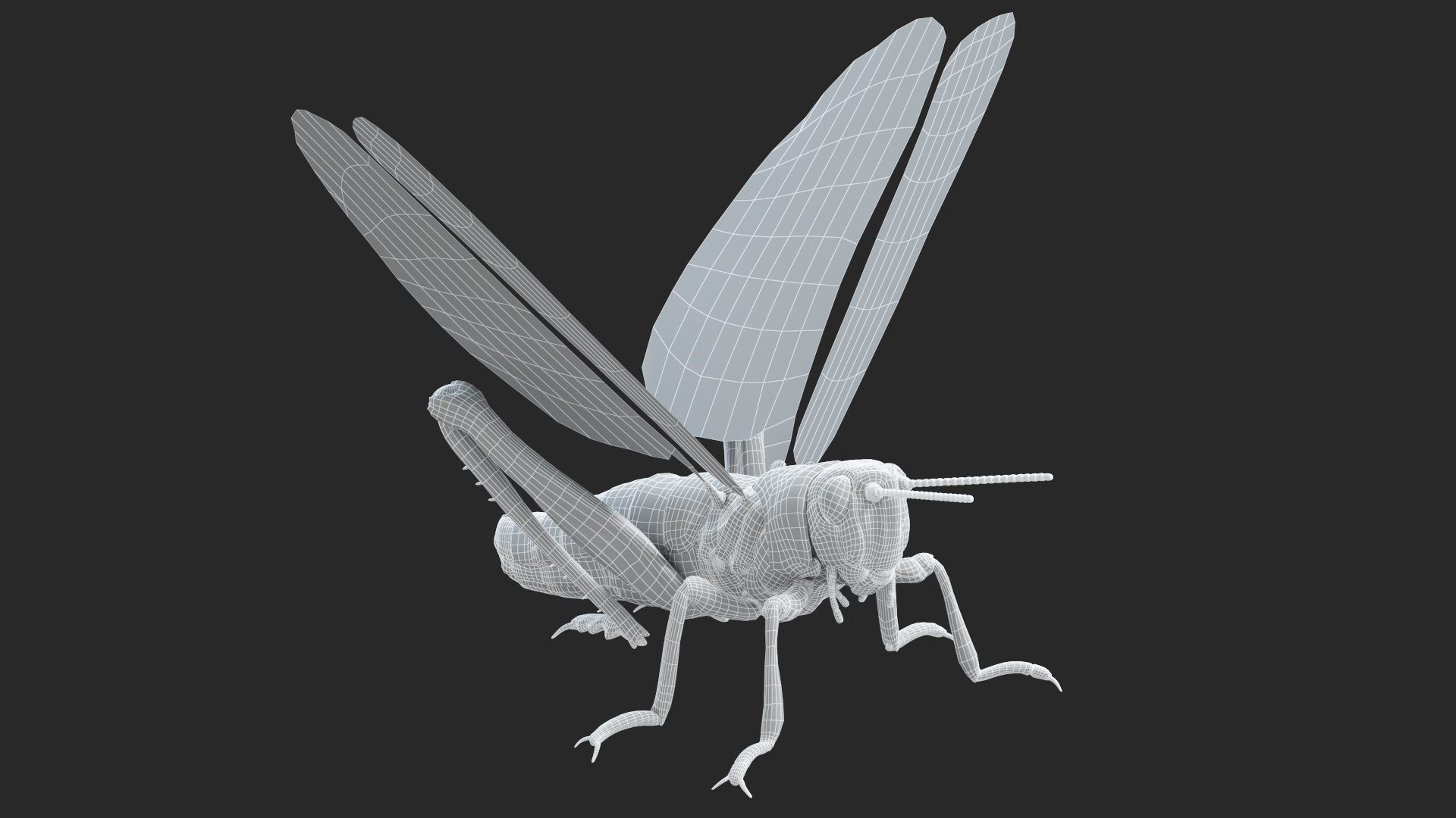 Grasshopper Static 3D model - TurboSquid 2009703