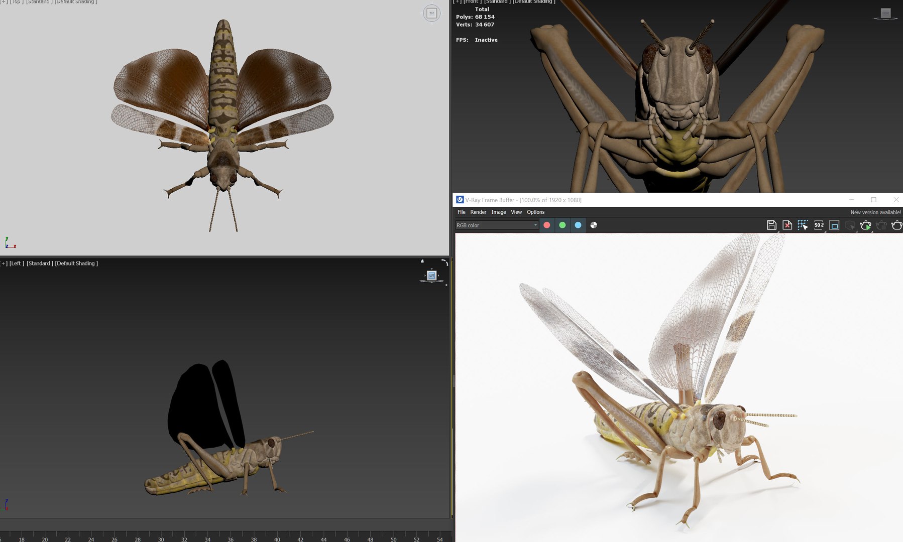 Grasshopper Static 3D model - TurboSquid 2009703