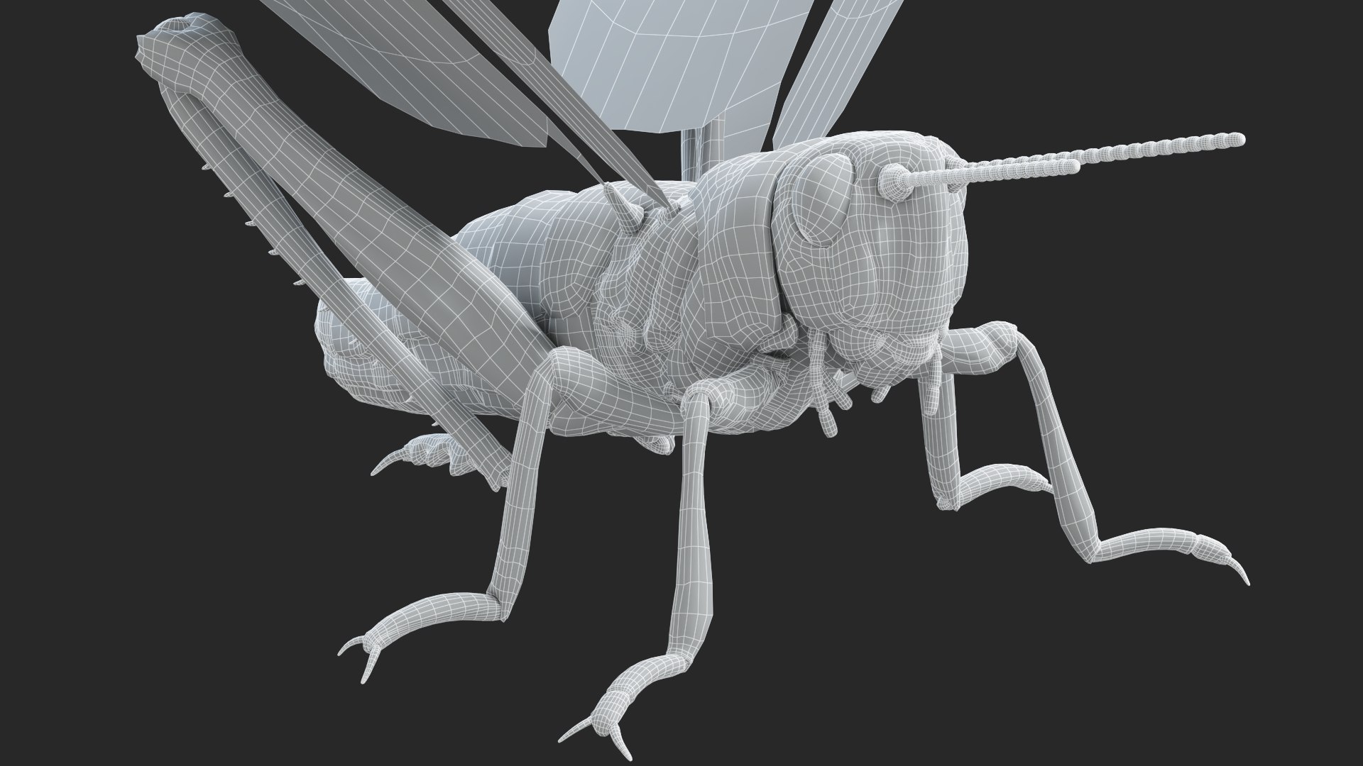 Grasshopper Static 3D model - TurboSquid 2009703
