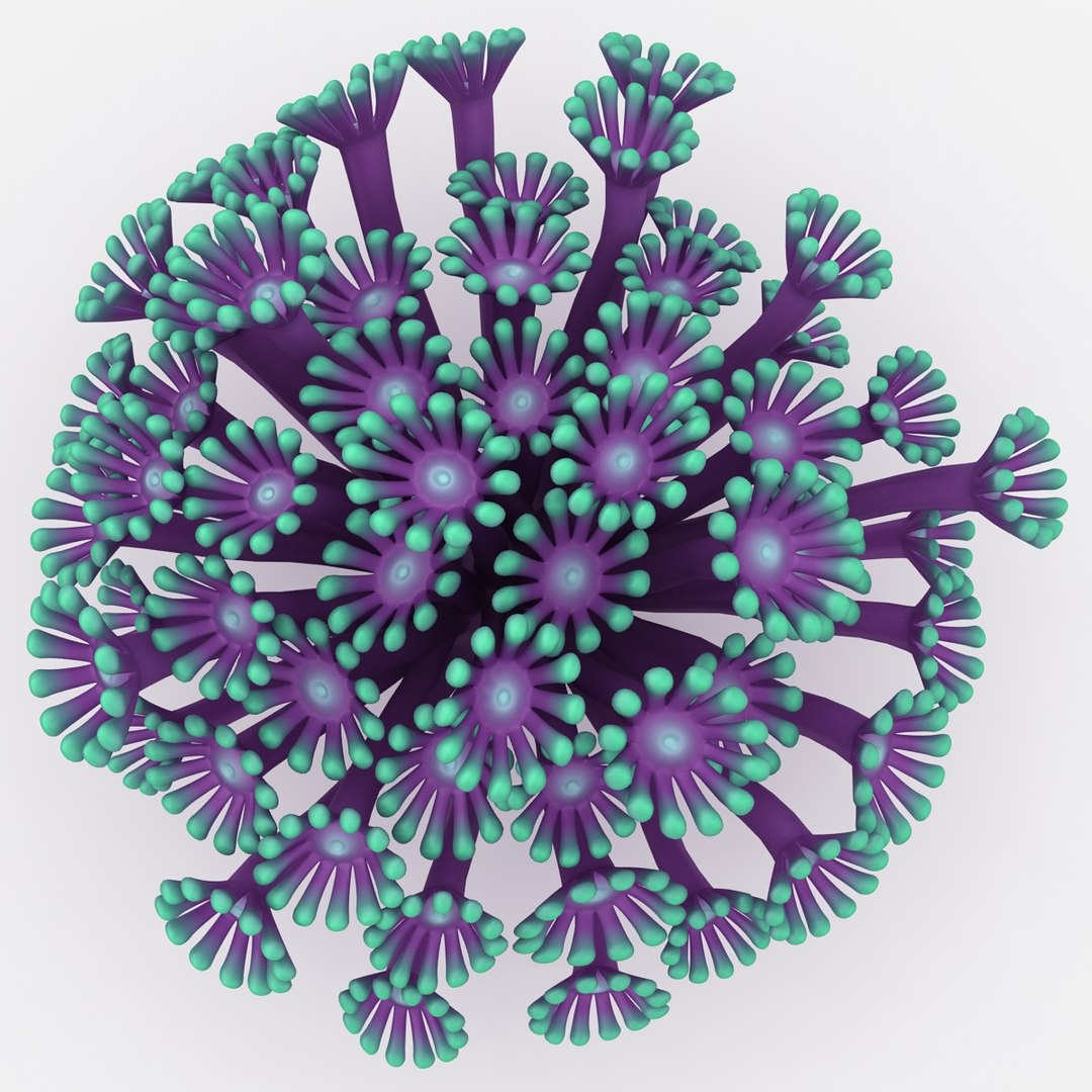 Poritidae Coral Animation 3d Max