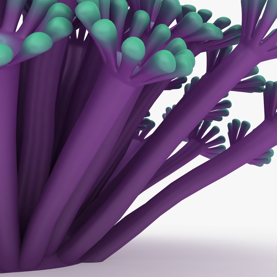 Poritidae Coral Animation 3d Max