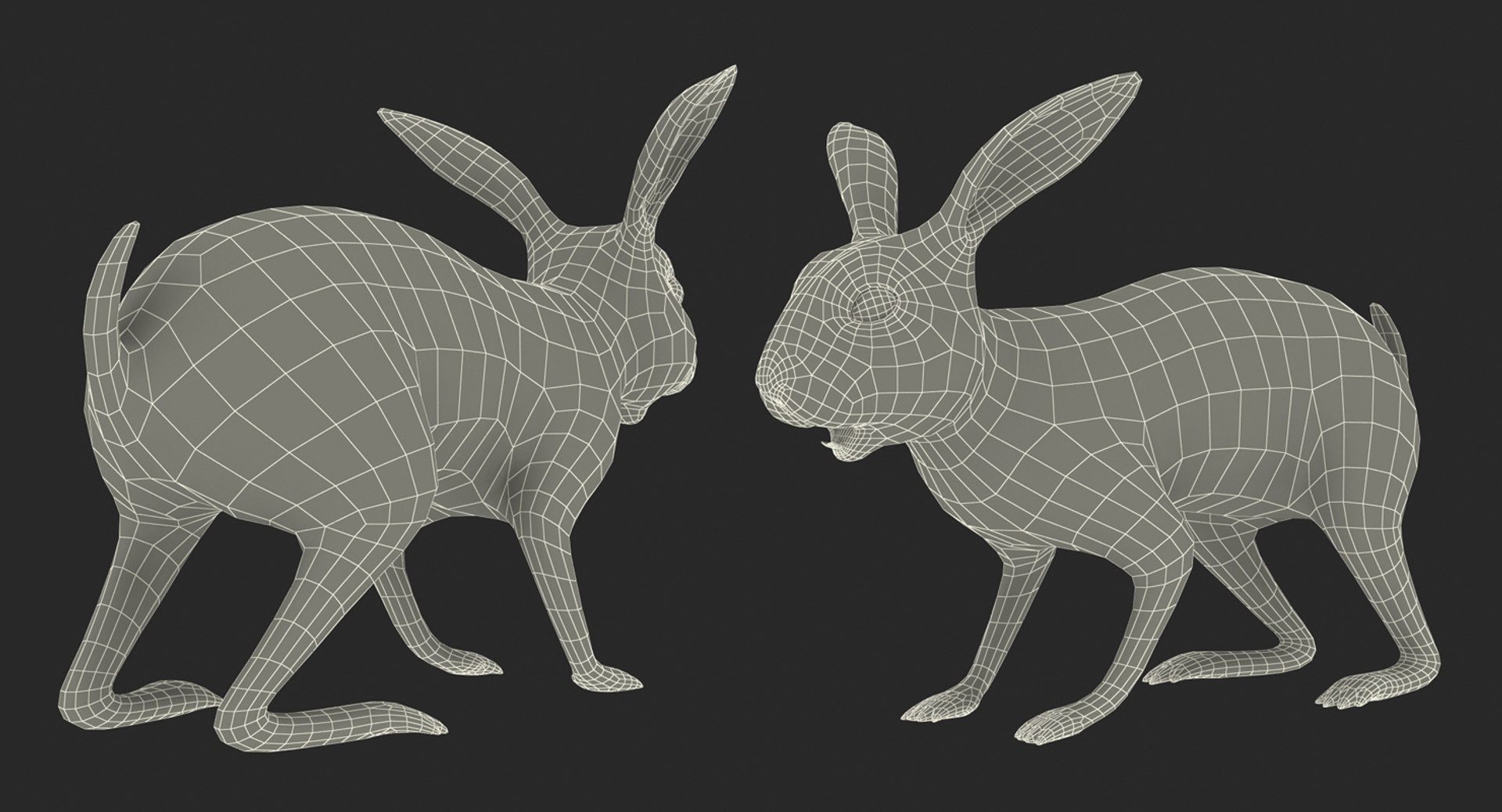 White Rabbit 3D Model - TurboSquid 1231536