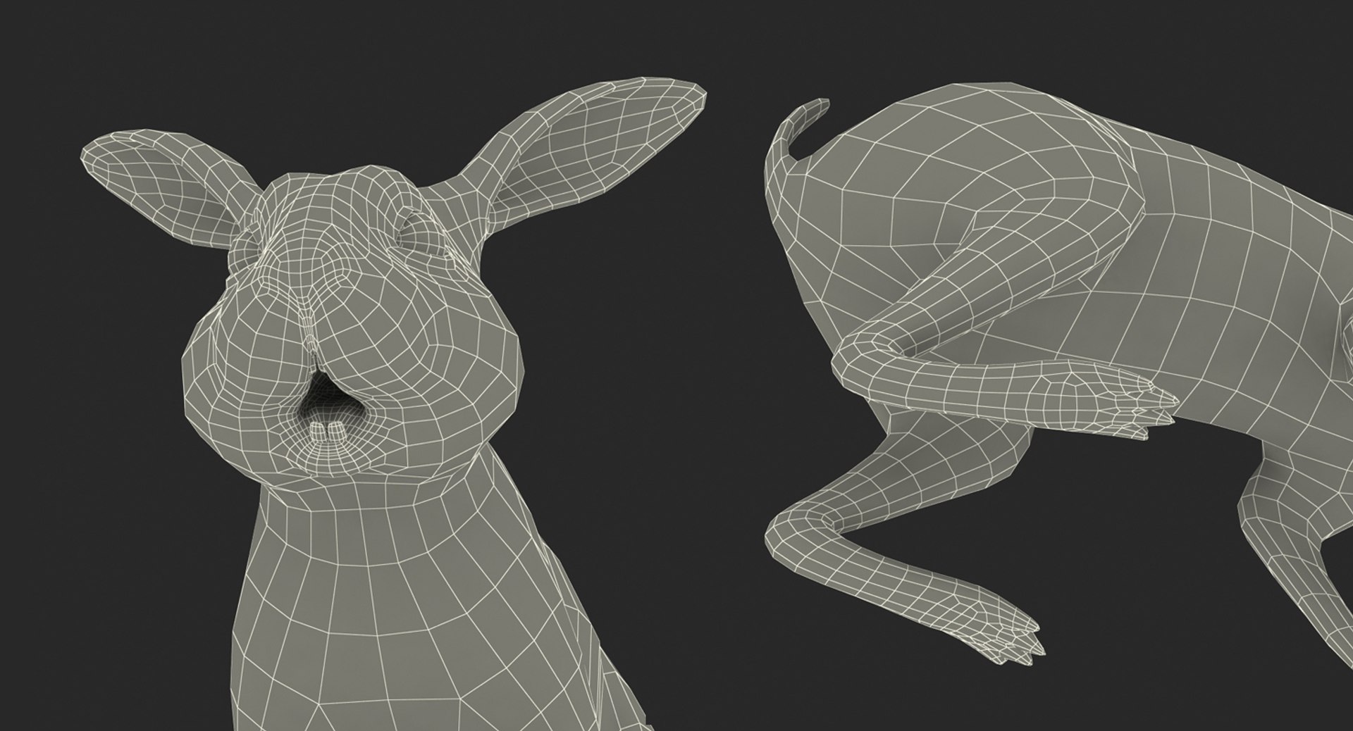 White Rabbit 3D Model - TurboSquid 1231536