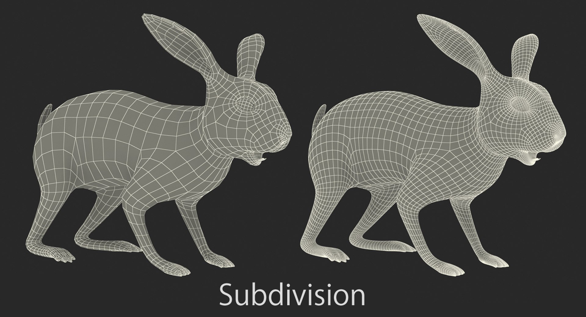 White Rabbit 3D Model - TurboSquid 1231536
