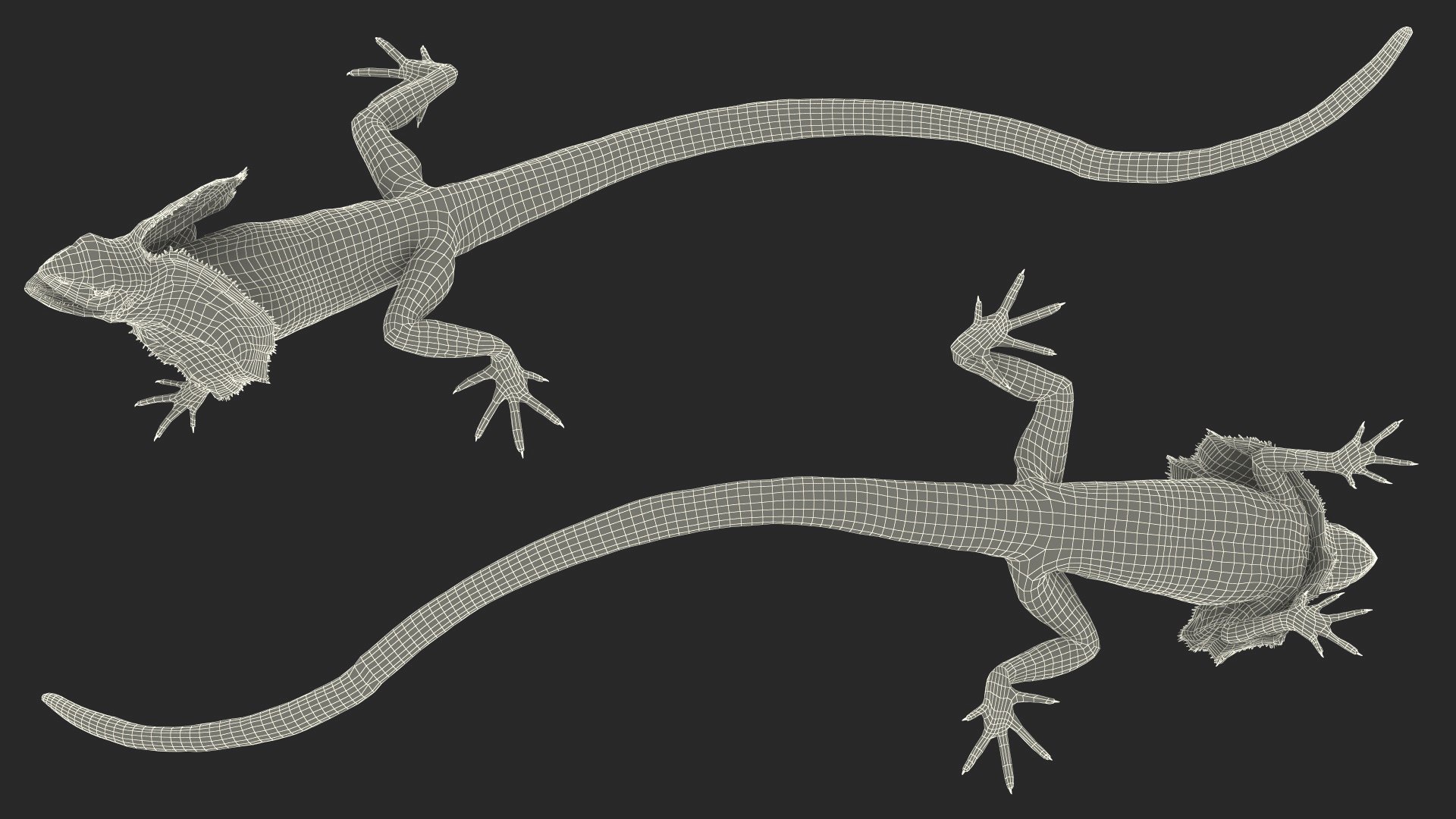 3D Frilled Dragon Crawling Pose Model - TurboSquid 2258996