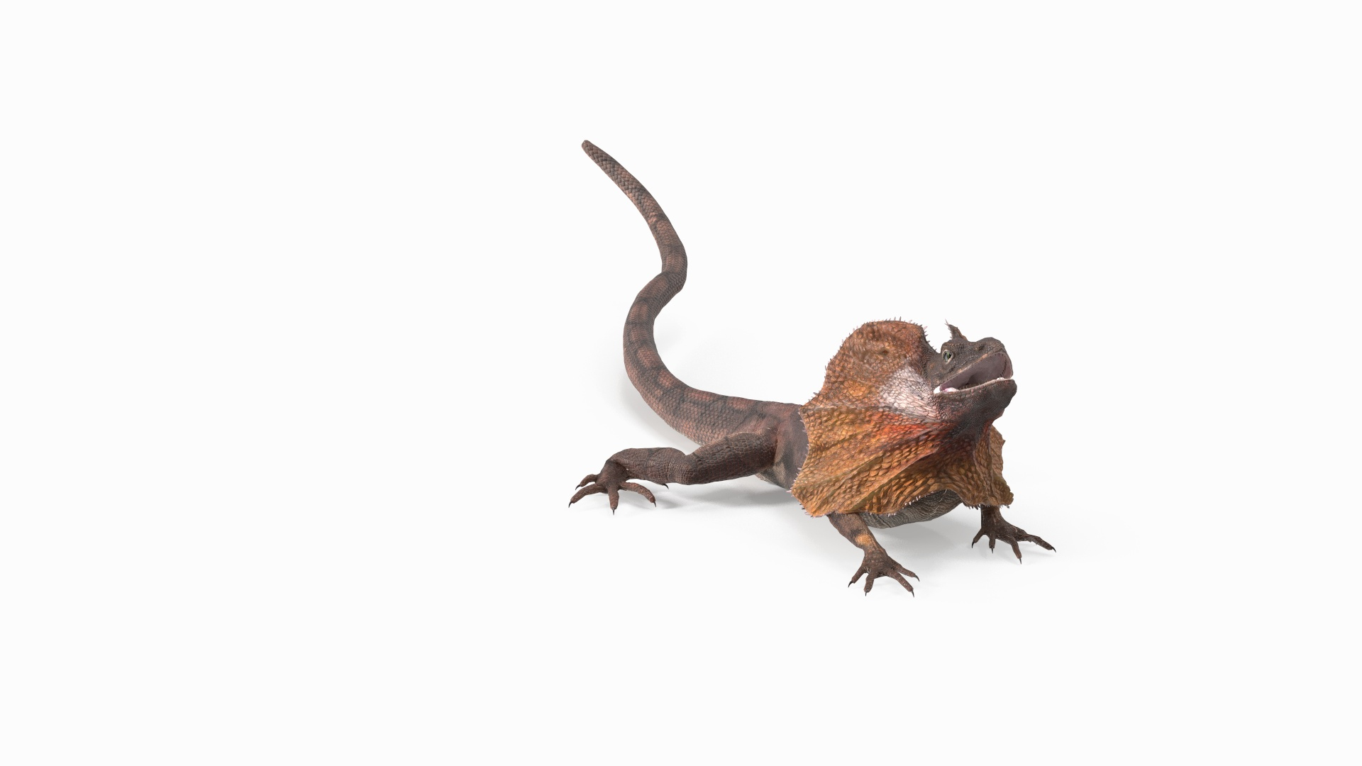 3D Frilled Dragon Crawling Pose Model - TurboSquid 2258996