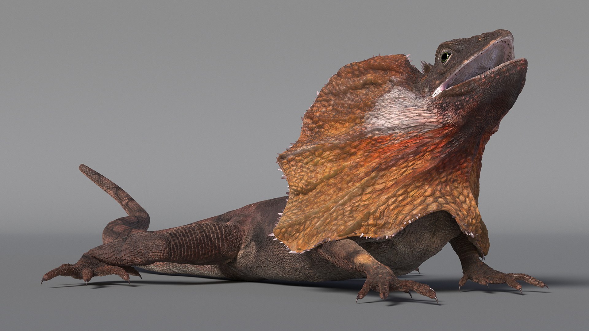 3D Frilled Dragon Crawling Pose Model - TurboSquid 2258996