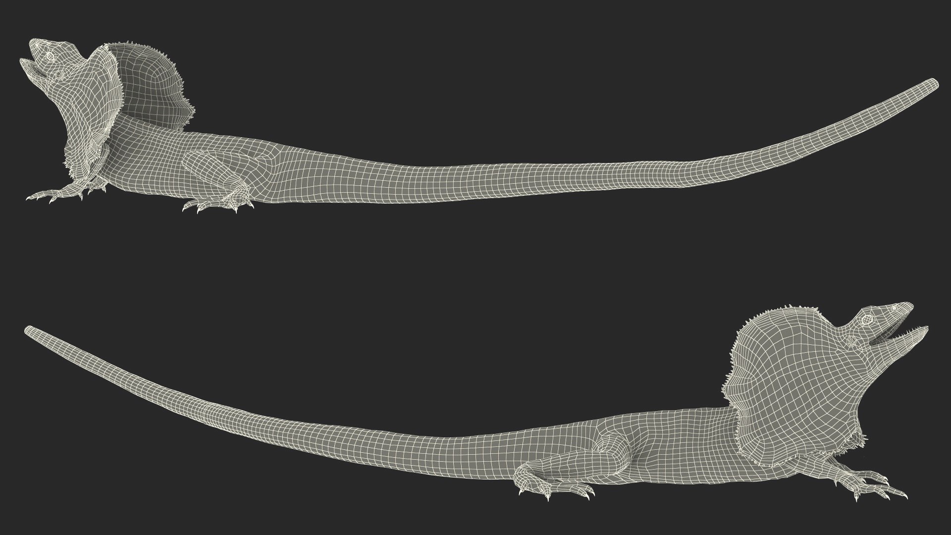 3D Frilled Dragon Crawling Pose Model - TurboSquid 2258996