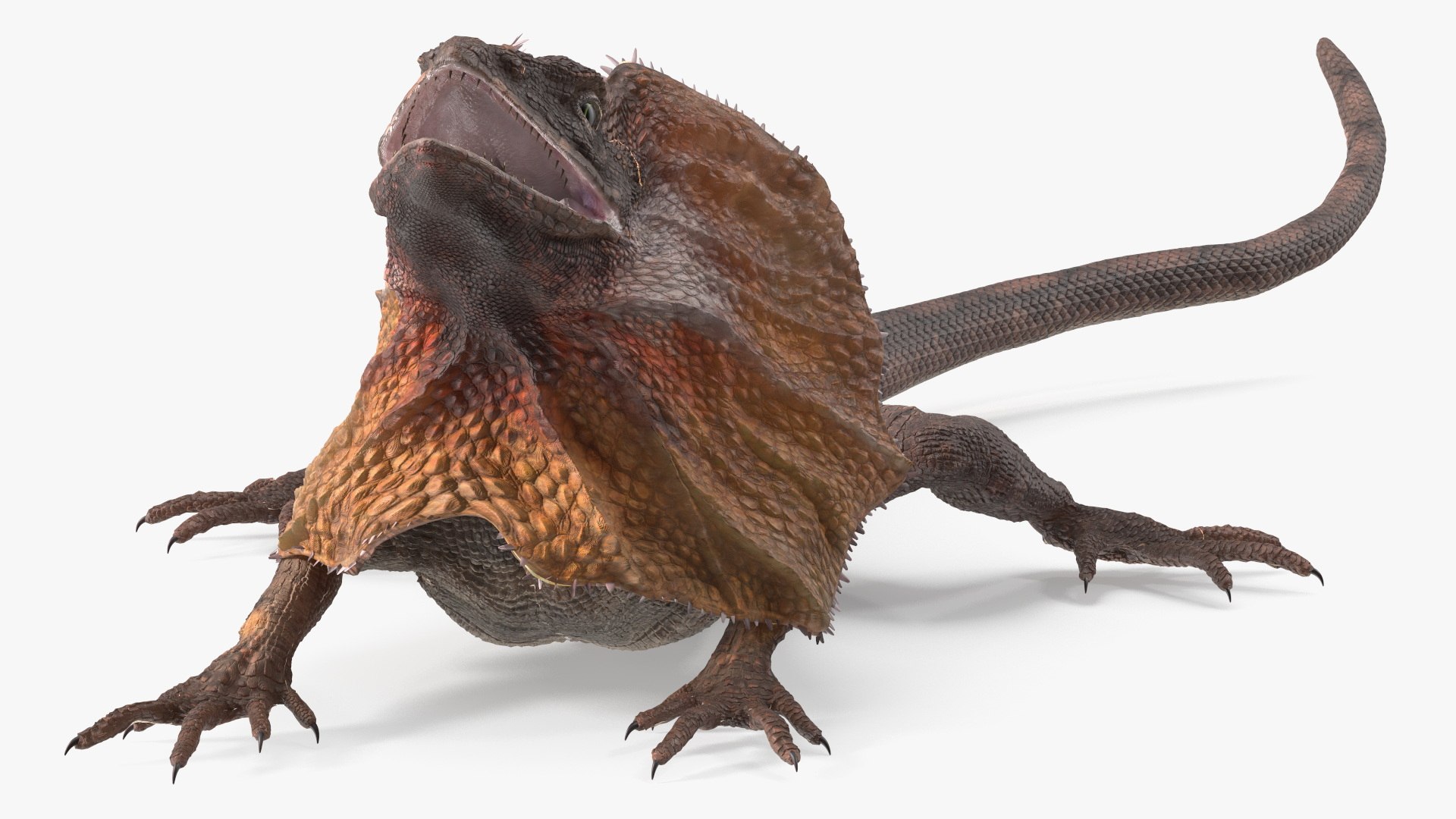 3D Frilled Dragon Crawling Pose Model - TurboSquid 2258996