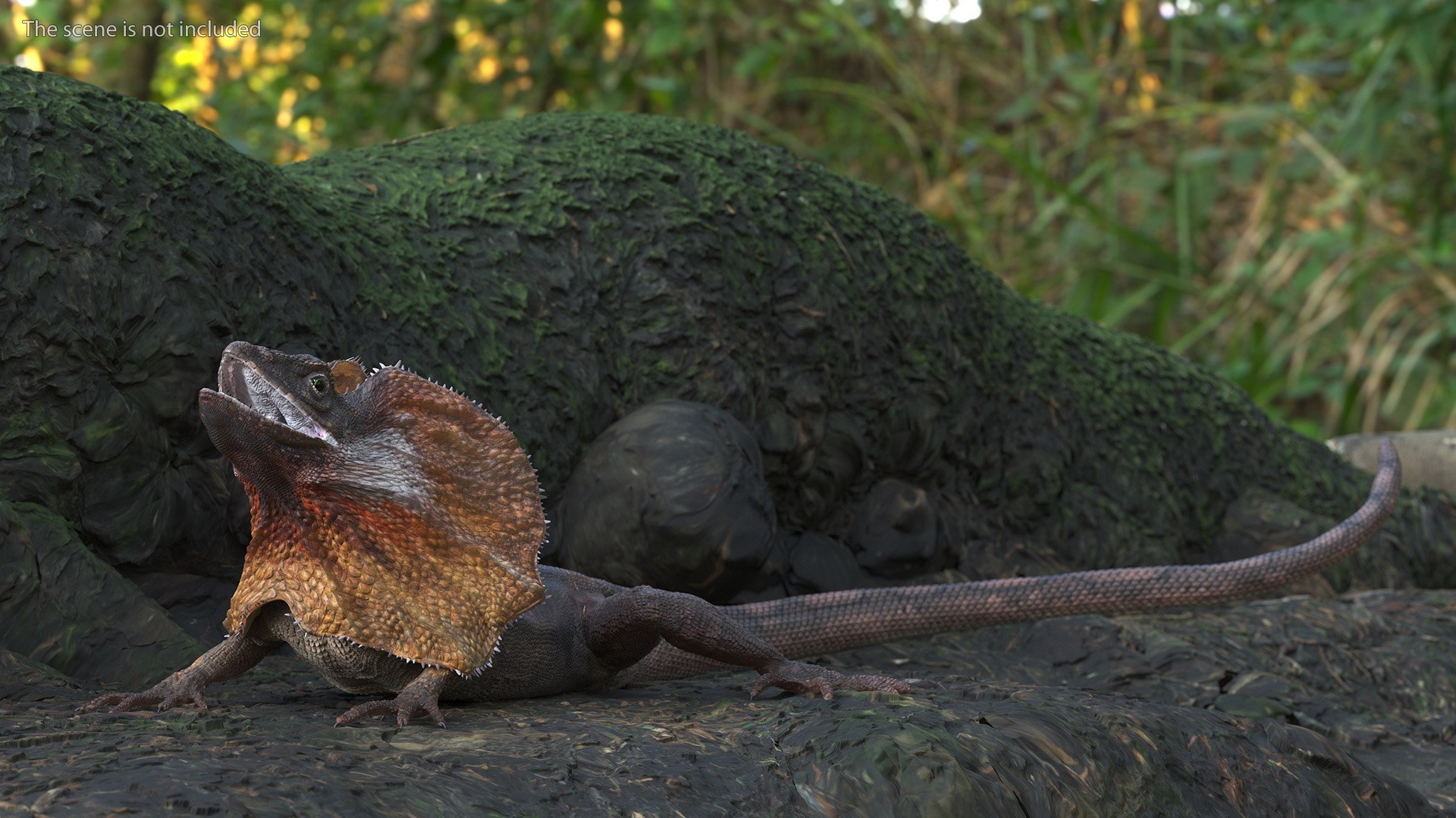 3D Frilled Dragon Crawling Pose Model - TurboSquid 2258996