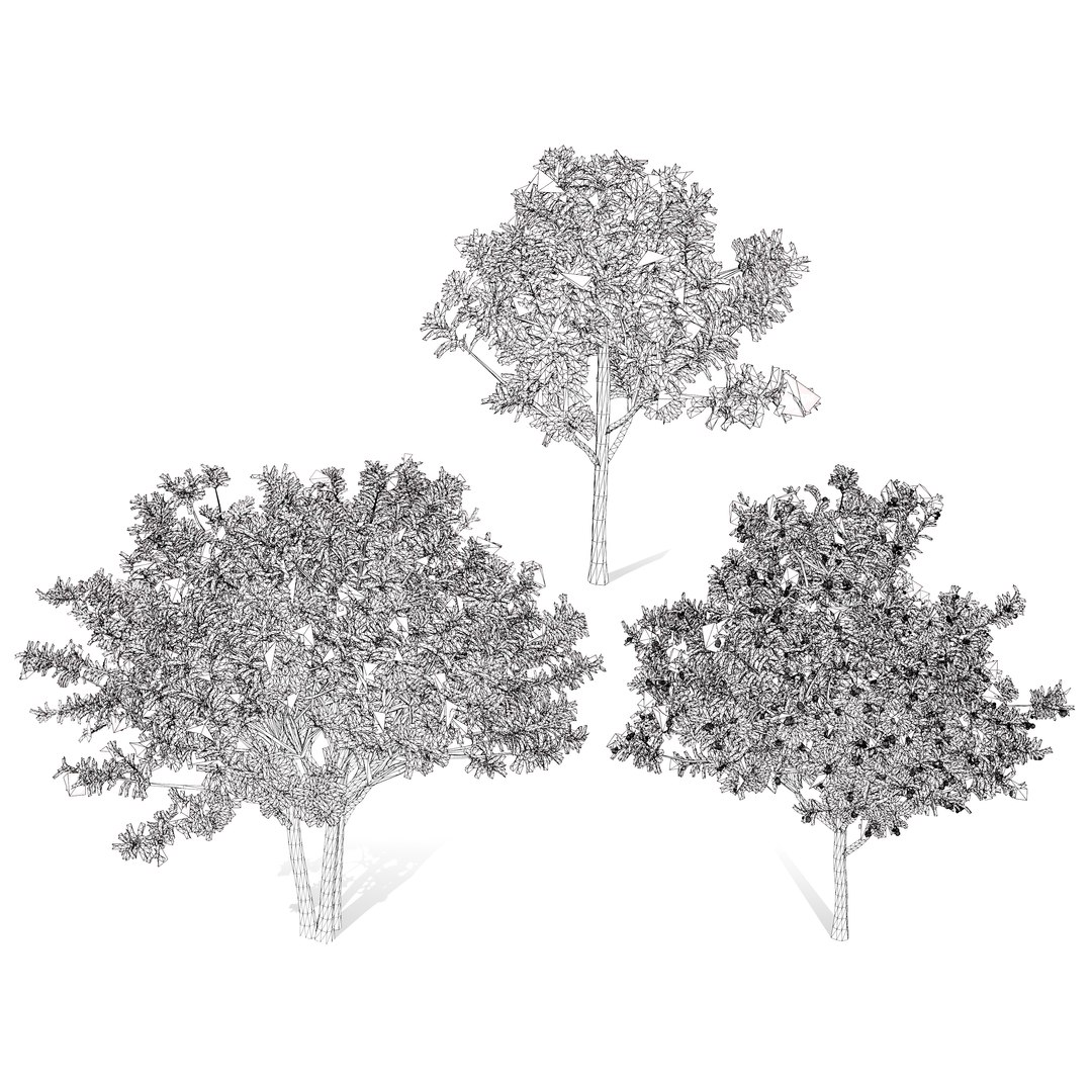 Loquat Tree 3D Model 3D - TurboSquid 2306892