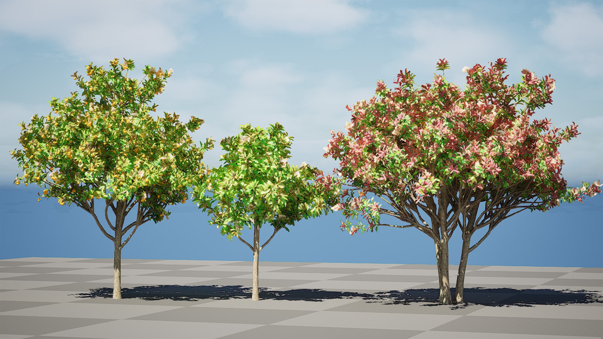 Loquat Tree 3D Model 3D - TurboSquid 2306892