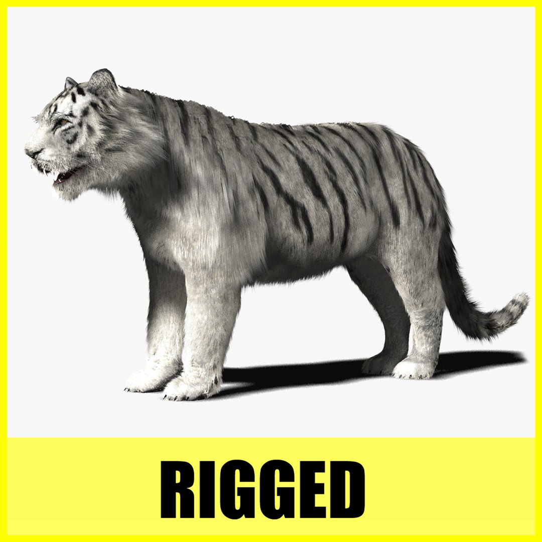 White Tiger Rigged 3ds