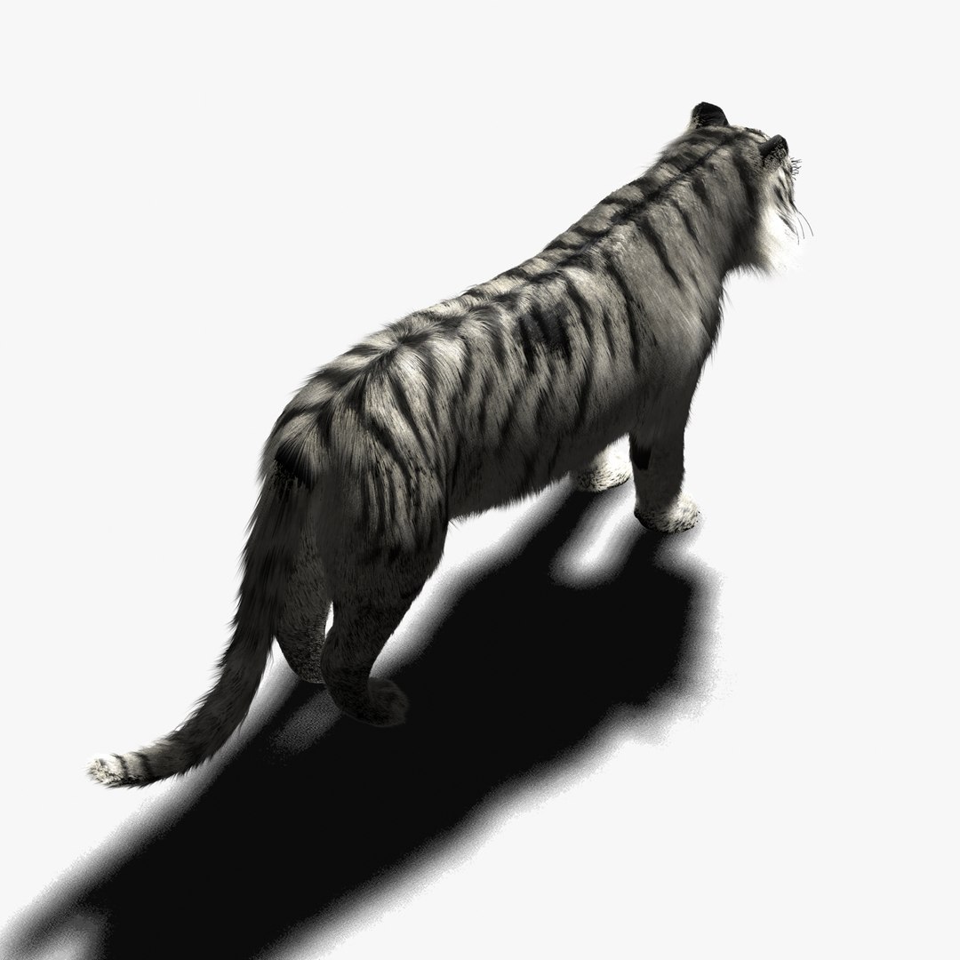 White Tiger Rigged 3ds